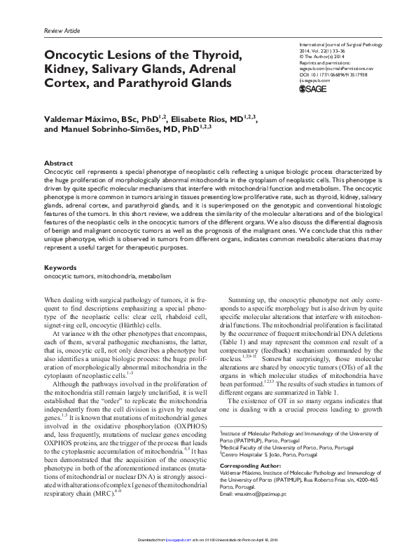 (PDF) Oncocytic Lesions of the Thyroid, Kidney, Salivary Glands ...