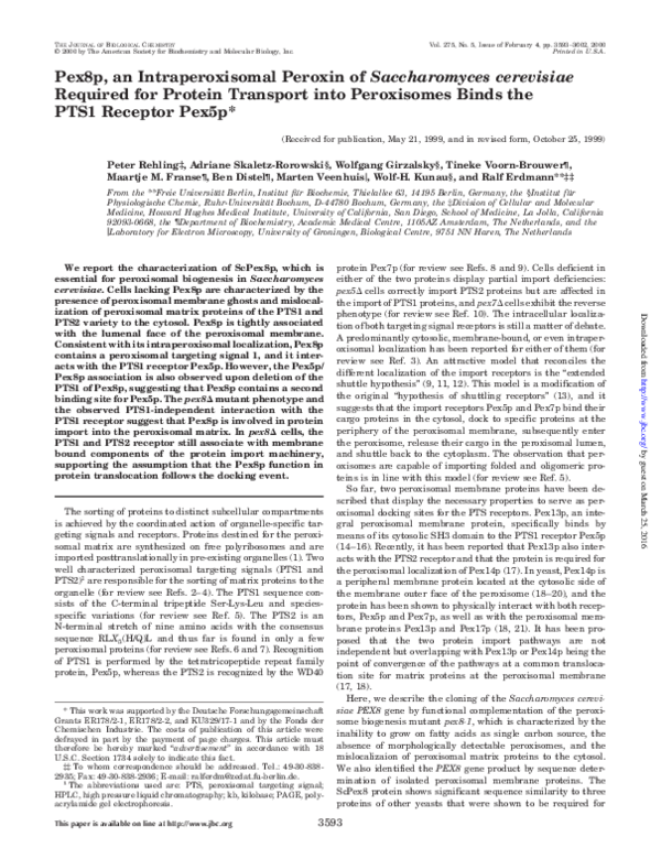 (PDF) Pex8p, an Intraperoxisomal Peroxin of Saccharomyces cerevisiae ...
