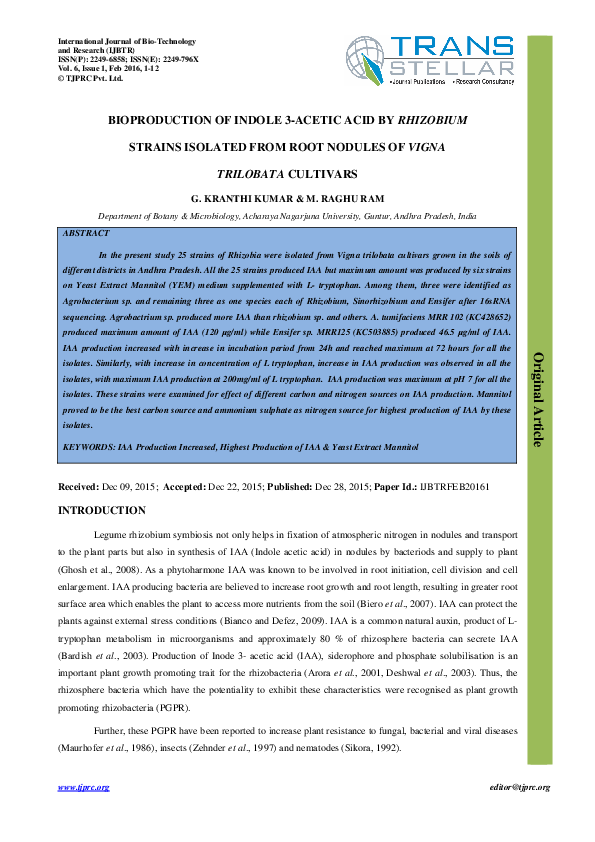 BIOPRODUCTION OF INDOLE 3-ACETIC ACID BY RHIZOBIUM STRAINS ISOLATED ...