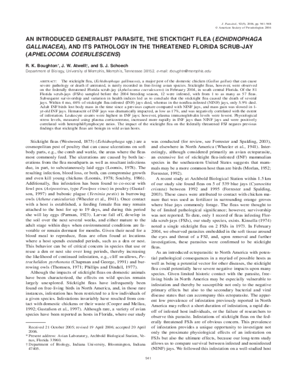(PDF) AN INTRODUCED GENERALIST PARASITE, THE STICKTIGHT FLEA ...