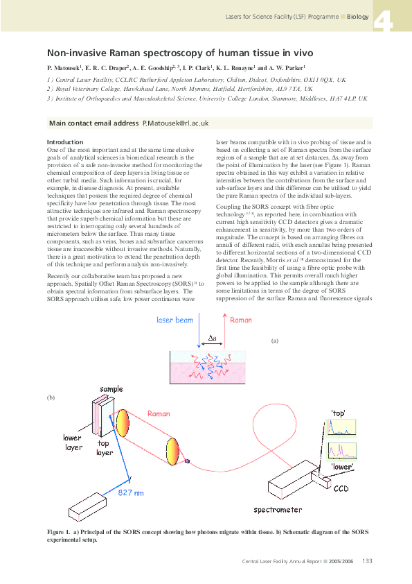 (PDF) Noninvasive Raman Spectroscopy of Human Tissue In Vivo