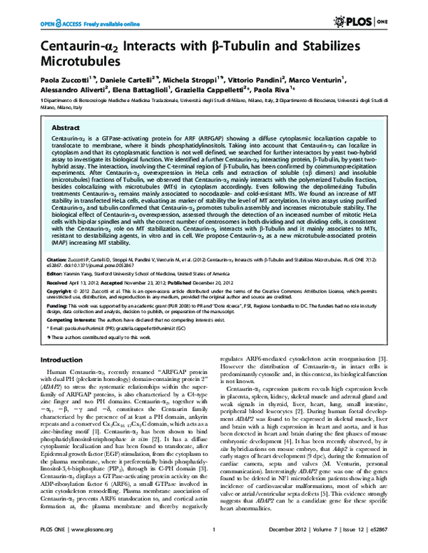 (PDF) Centaurin-α2 Interacts with β-Tubulin and Stabilizes Microtubules