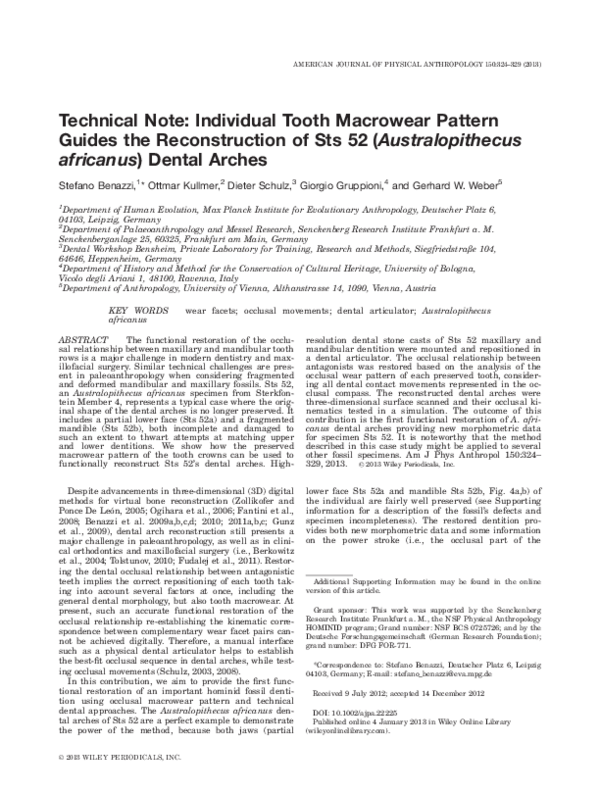 (PDF) Individual tooth macrowear pattern guides the reconstruction of ...