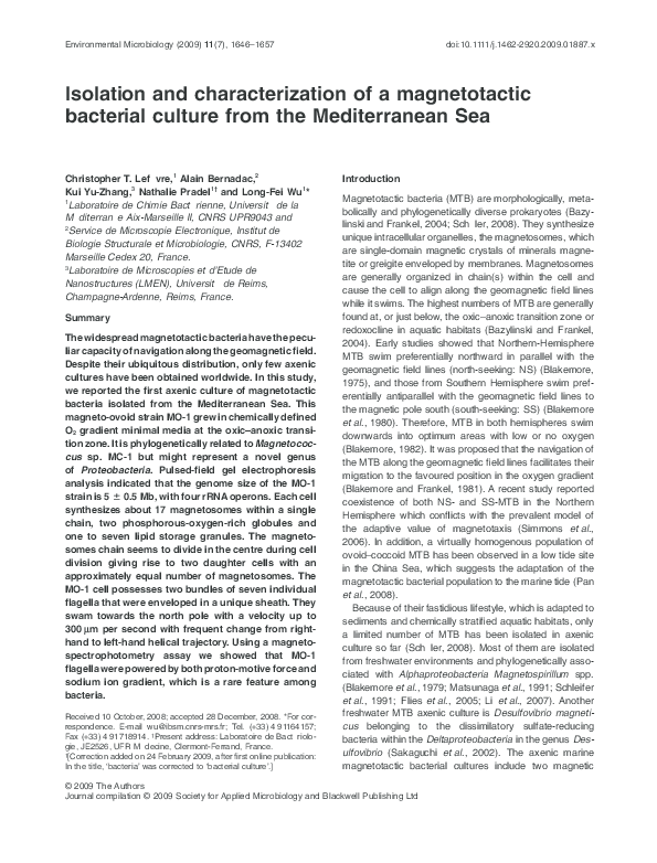 (PDF) Isolation and characterization of a magnetotactic bacterial ...