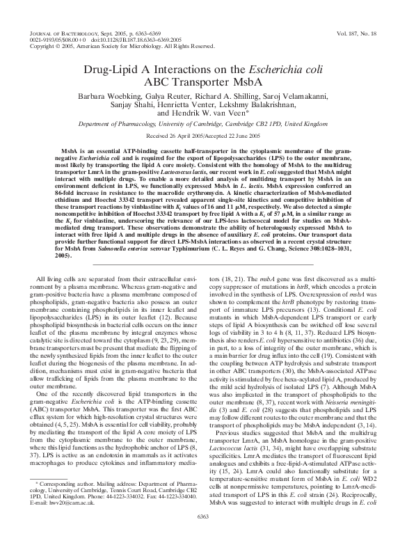 (PDF) Drug-Lipid A Interactions on the Escherichia coli ABC Transporter ...