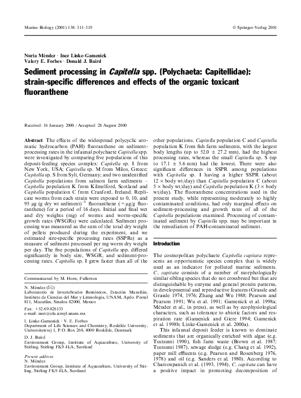 (PDF) Sediment processing in Capitella spp. (Polychaeta: Capitellidae ...
