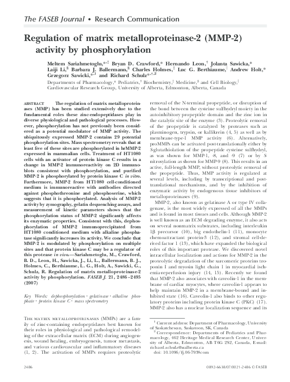 (PDF) Regulation of matrix metalloproteinase-2 (MMP-2) activity by ...
