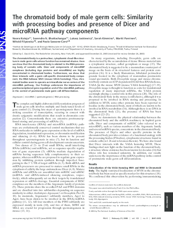 (PDF) The chromatoid body of male germ cells: Similarity with ...
