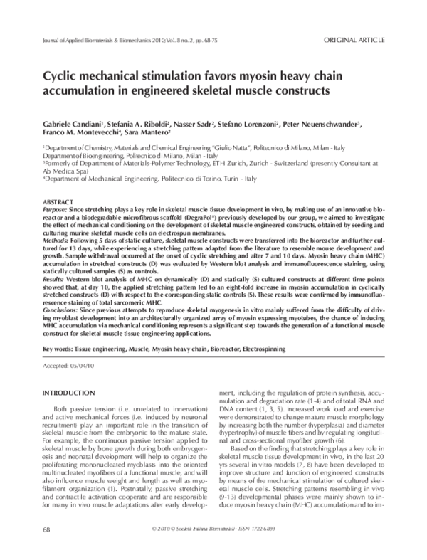 (PDF) Cyclic mechanical stimulation favors myosin heavy chain ...