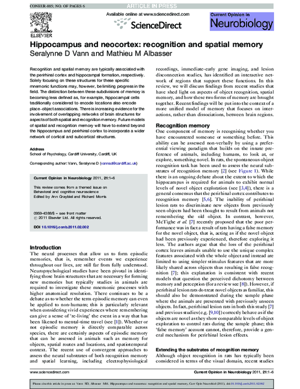 (PDF) Hippocampus and neocortex: recognition and spatial memory