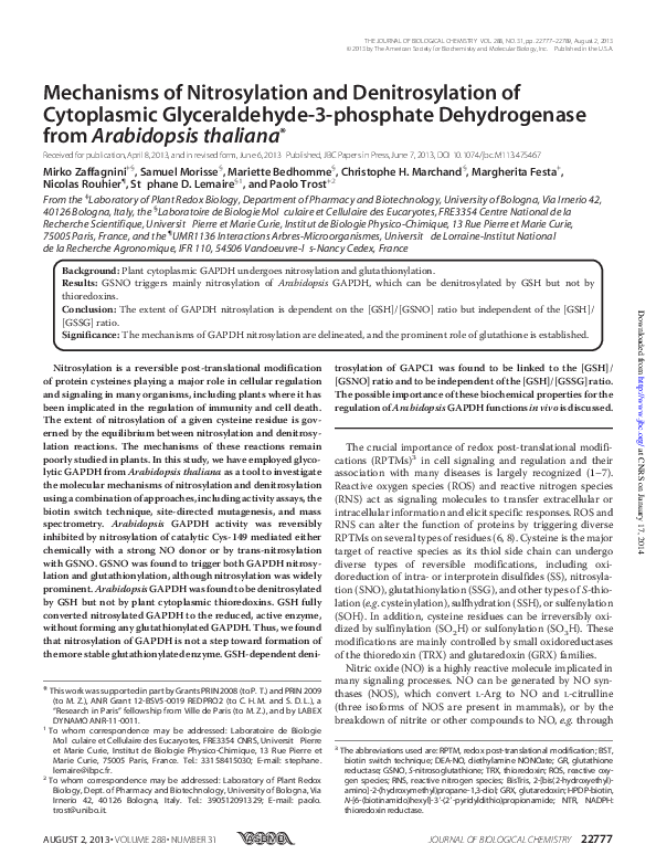 Mechanisms of Nitrosylation and Denitrosylation of Cytoplasmic ...