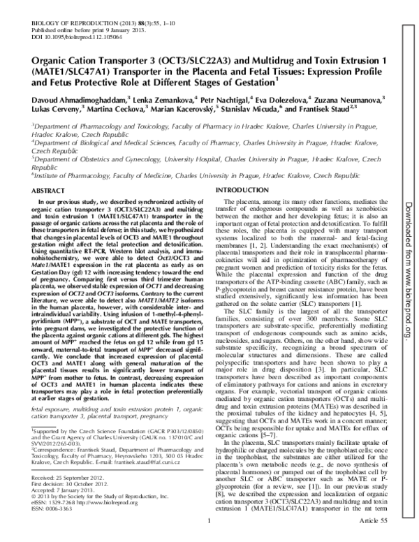(PDF) Organic Cation Transporter 3 (OCT3/SLC22A3) and Multidrug and ...