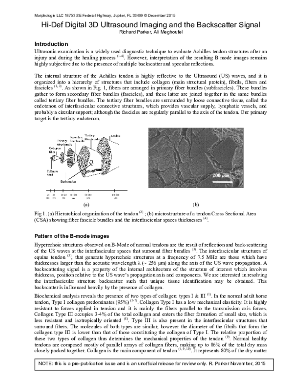 (PDF) Hi-Def Digital 3D Ultrasound Imaging and the Backscatter Signal