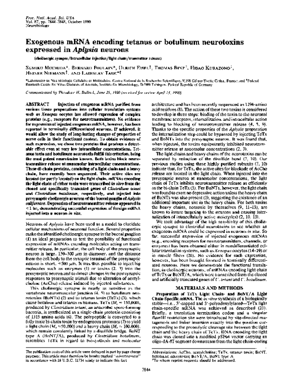 (PDF) Exogenous mRNA encoding tetanus or botulinum neurotoxins ...