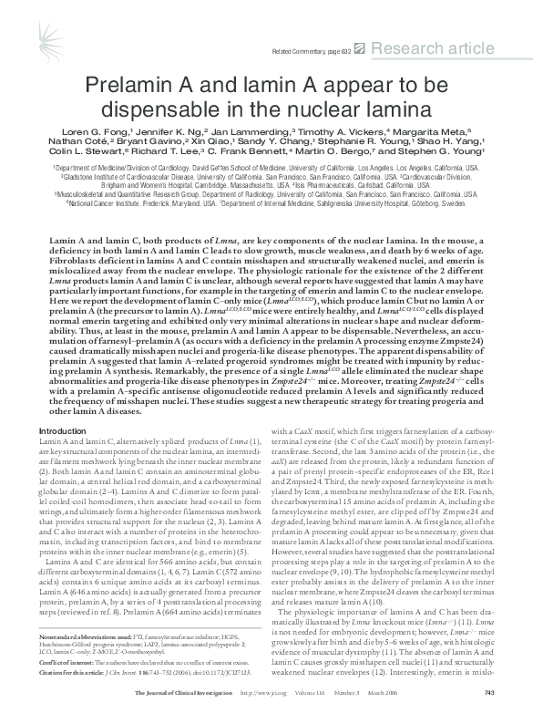 (PDF) Prelamin A and lamin A appear to be dispensable in the nuclear lamina