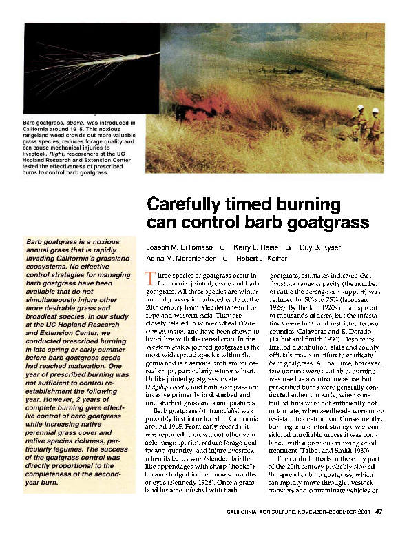 (PDF) Carefully timed burning can control barb goatgrass