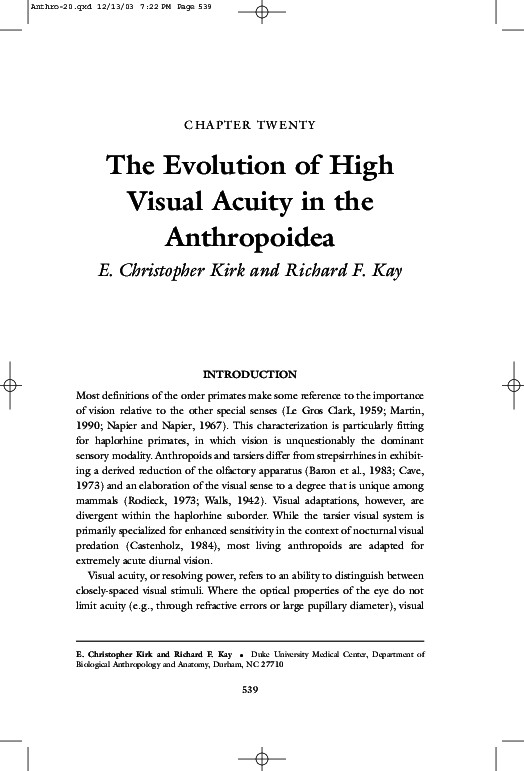 (PDF) The Evolution of High Visual Acuity in the Anthropoidea