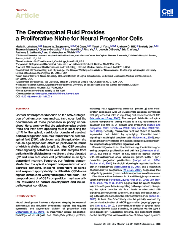 (PDF) The Cerebrospinal Fluid Provides a Proliferative Niche for Neural Progenitor Cells