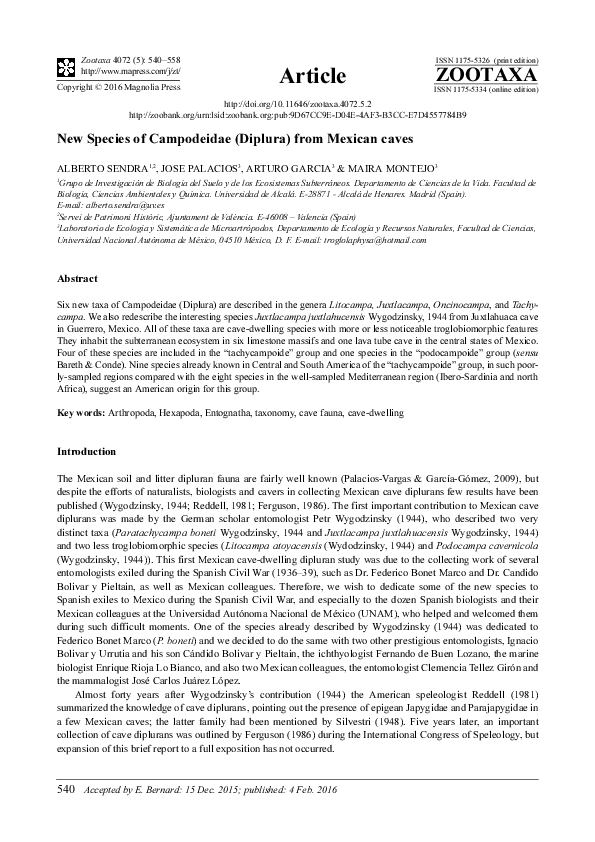 (PDF) New Species of Campodeidae (Diplura) from Mexican caves