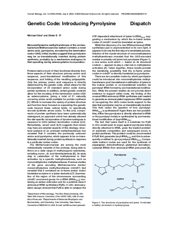 (PDF) Genetic Code: Introducing Pyrrolysine