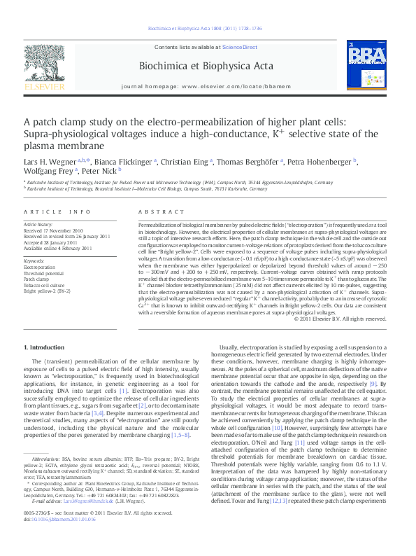 (PDF) A patch clamp study on the electro-permeabilization of higher ...