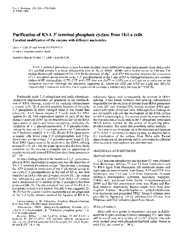 (PDF) Purification of RNA 3'-terminal-phosphate cyclase from HeLa cells ...