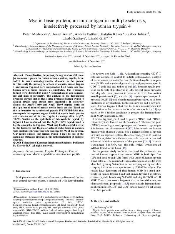 (PDF) Myelin basic protein, an autoantigen in multiple sclerosis, is ...