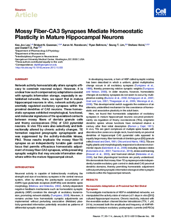 (PDF) Mossy Fiber-CA3 Synapses Mediate Homeostatic Plasticity in Mature ...