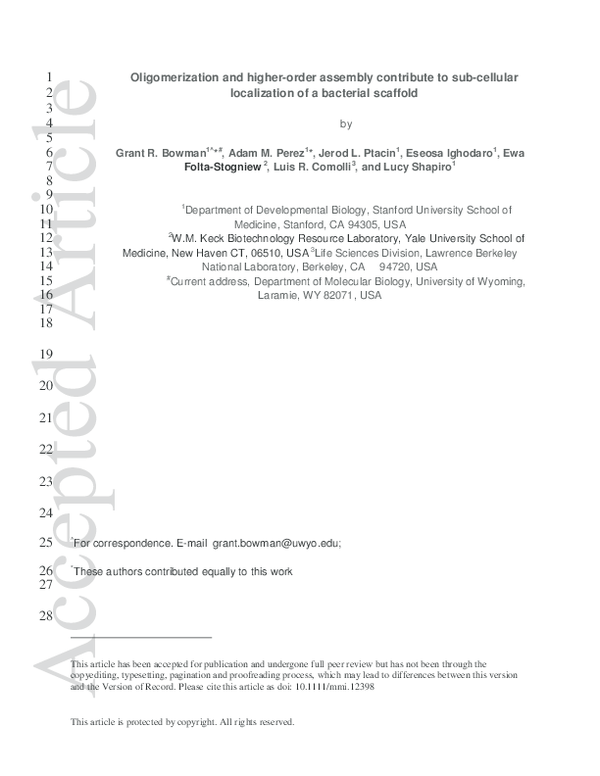 (PDF) Oligomerization and higher-order assembly contribute to sub ...