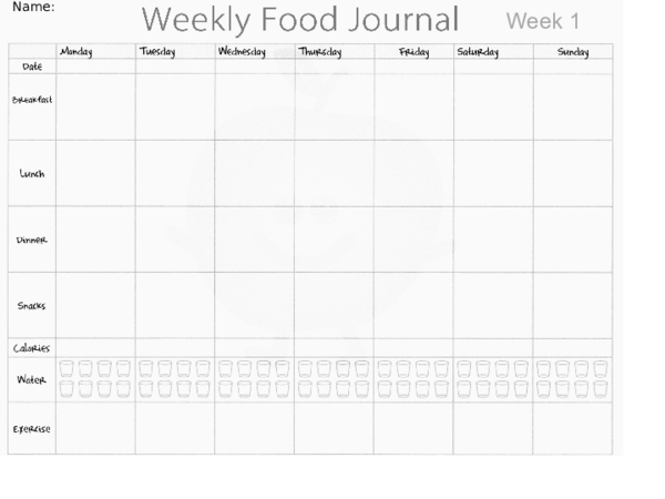 (PPT) Food Journal and Observation Logs (K-12 Education Version)