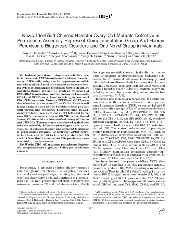 (PDF) Newly Identified Chinese Hamster Ovary Cell Mutants Defective in Peroxisome Assembly ...
