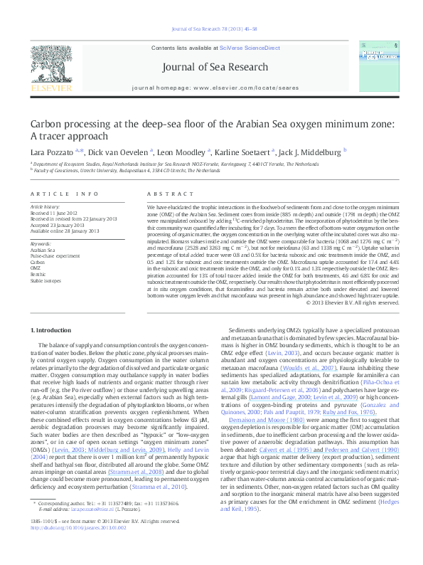 (PDF) Carbon processing at the deep-sea floor of the Arabian Sea oxygen ...