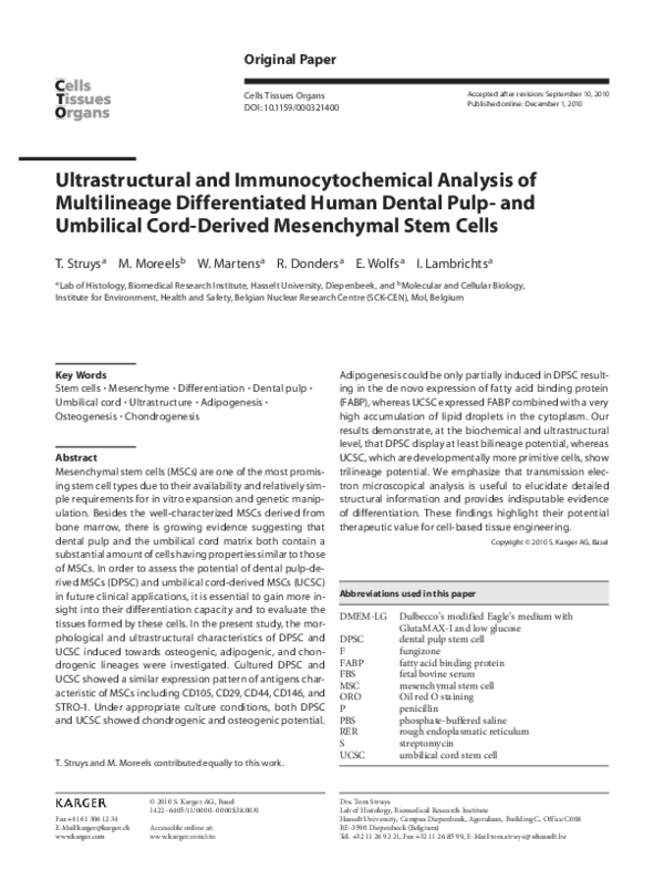(PDF) Ultrastructural and Immunocytochemical Analysis of Multilineage Differentiated Human ...