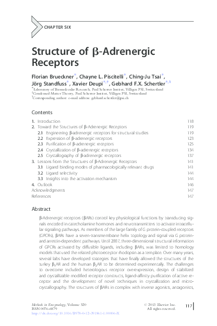 (PDF) Structure of beta-Adrenergic Receptors