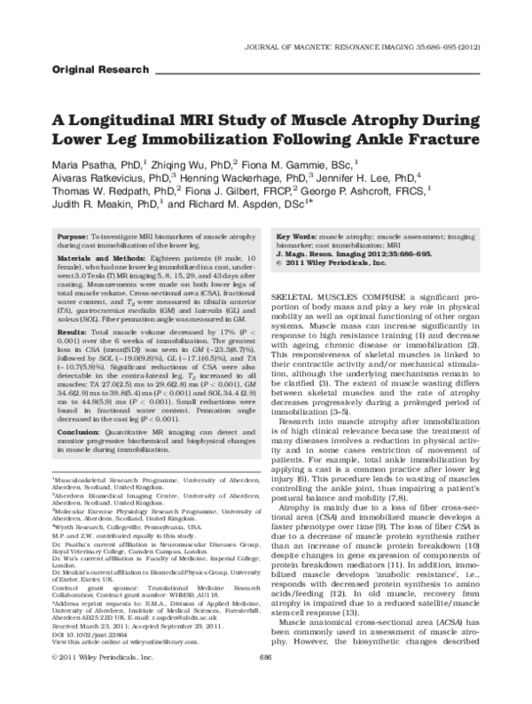 (PDF) A longitudinal MRI study of muscle atrophy during lower leg ...