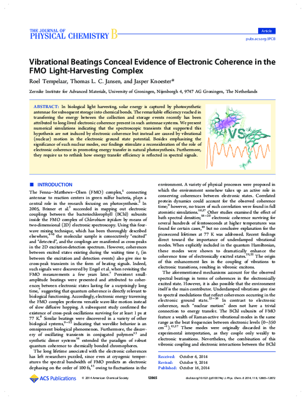 (PDF) Vibrational beatings conceal evidence of electronic coherence in the FMO light-harvesting ...