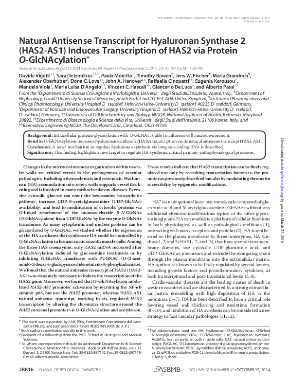 (PDF) Natural antisense transcript for hyaluronan synthase 2 (HAS2-AS1 ...