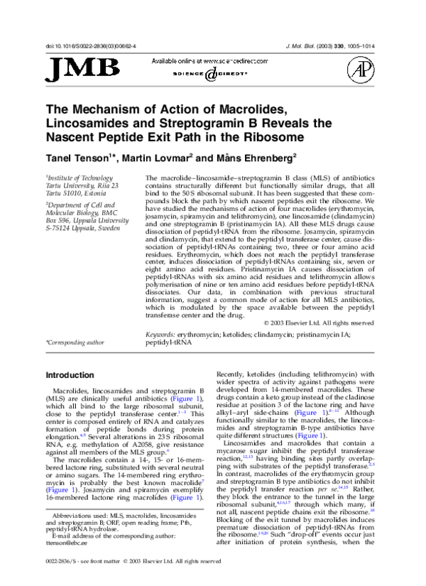 (PDF) The Mechanism of Action of Macrolides, Lincosamides and ...