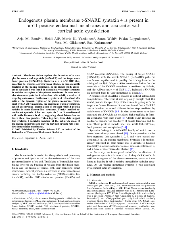 (PDF) Endogenous plasma membrane t-SNARE syntaxin 4 is present in rab11 ...