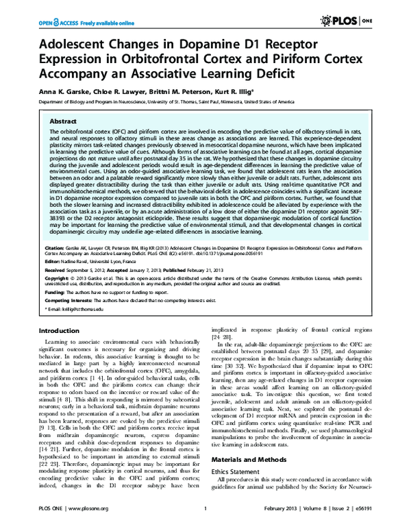 (PDF) Adolescent Changes in Dopamine D1 Receptor Expression in Orbitofrontal Cortex and Piriform ...