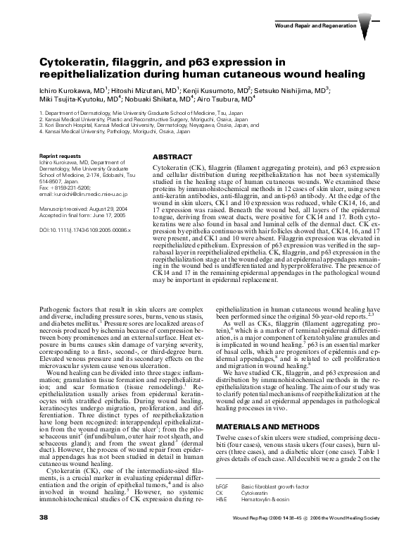 (PDF) Cytokeratin, filaggrin, and p63 expression in reepithelialization during human cutaneous ...
