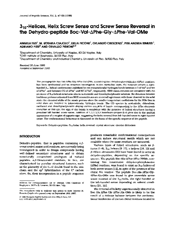 (PDF) 310-Helices, Helix Screw Sense and Screw Sense Reversal in the ...