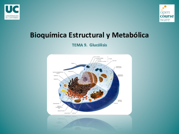 (PDF) Bioquímica Estructural y Metabólica