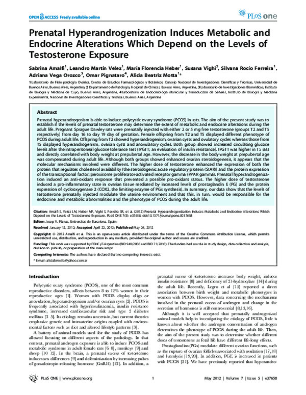 (PDF) Prenatal Hyperandrogenization Induces Metabolic and Endocrine ...