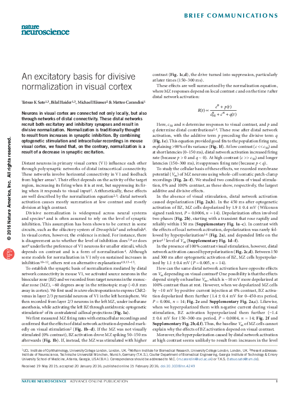 (PDF) An excitatory basis for divisive normalization in visual cortex