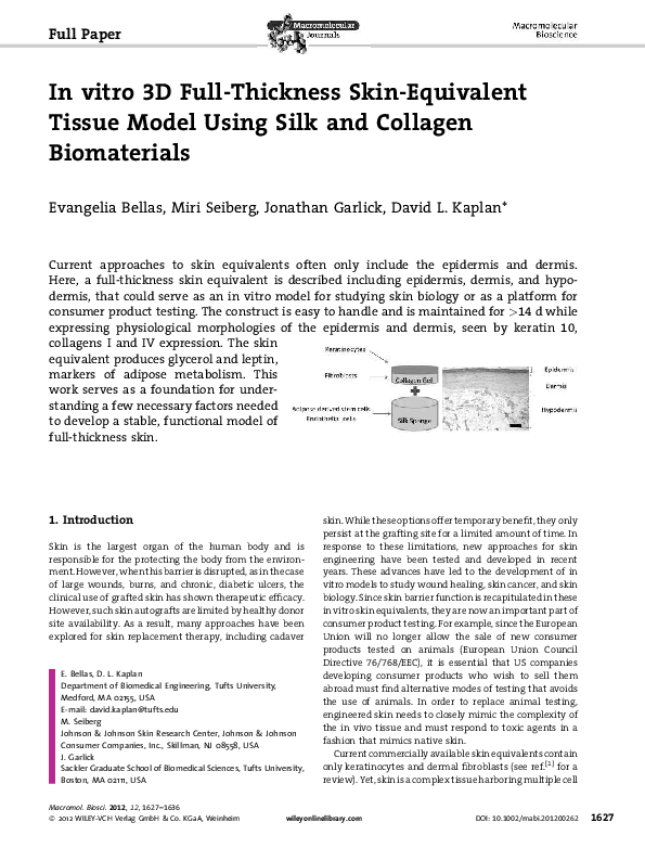 (PDF) In vitro 3D Full-Thickness Skin-Equivalent Tissue Model Using ...
