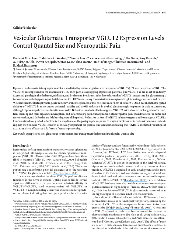 (PDF) Vesicular Glutamate Transporter VGLUT2 Expression Levels Control ...