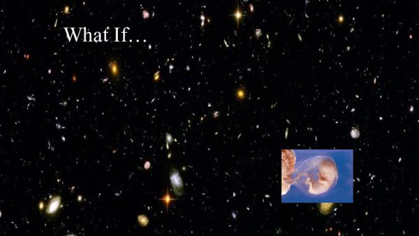 (PPT) Award Winning Poem: What If... Judged by Mario Susko, with German ...