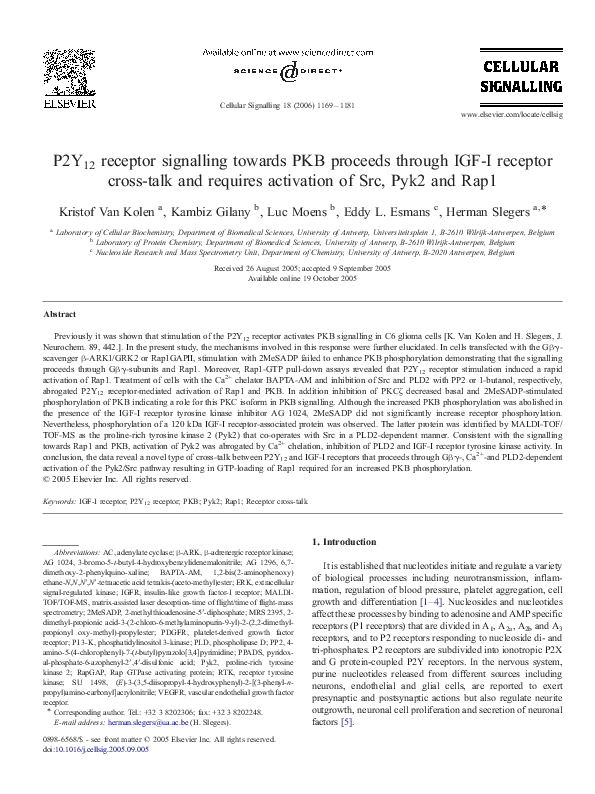 (PDF) P2Y12 receptor signalling towards PKB proceeds through IGF-I ...