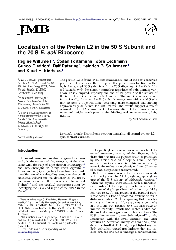 (PDF) Localization of the protein L2 in the 50 S subunit and the 70 S E ...